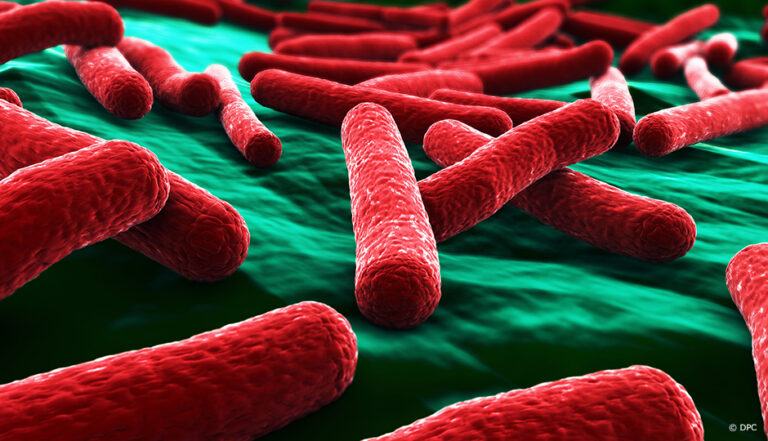 Microbes sensitive to the cold? - Chief Scientist of Quebec